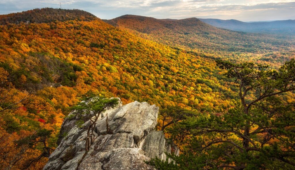 Visit Cheaha Mountain, the highest point in Alabama - Alabama News Center