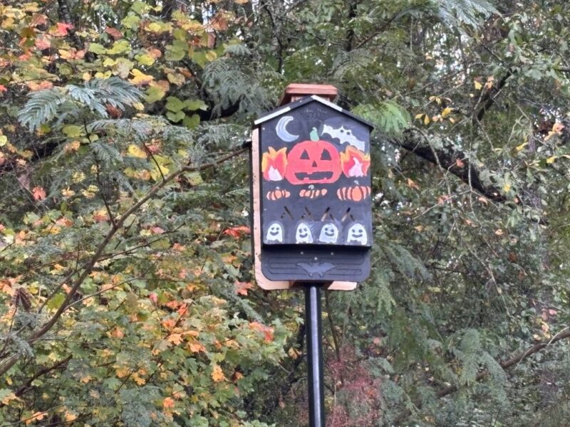 Bat habitat: Alabama Power builds bat boxes to give flying mammals safe ...
